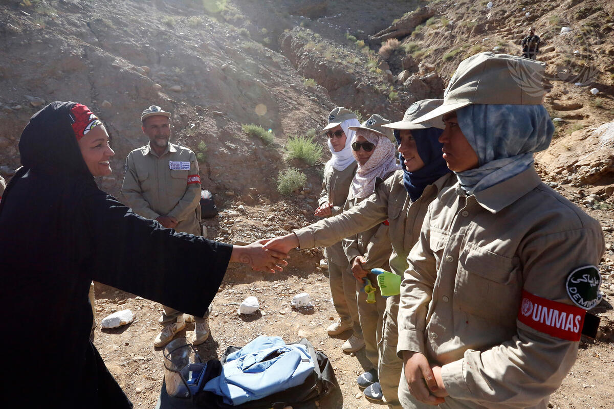 ELMS - UN Observer Missions and Offices